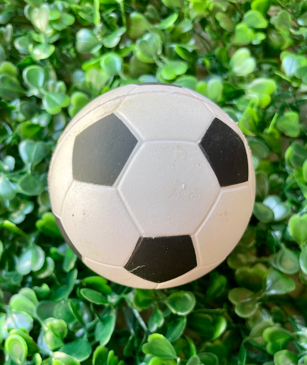 Soccer – Southern Elegance PE